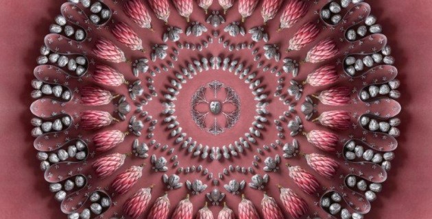 Seed The Change by Sally McKay - Capture magazine