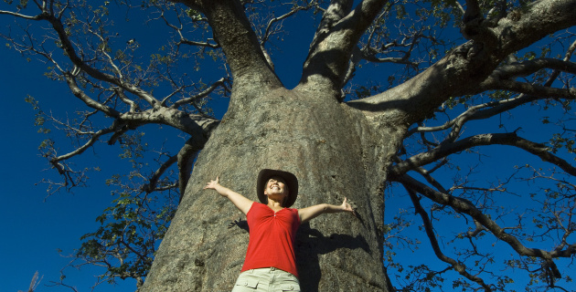AUGUST THEME: "TREES" - Great Walks