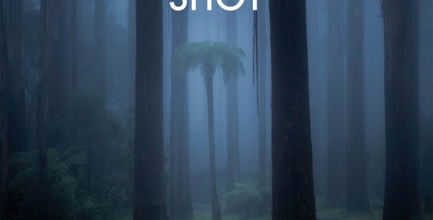 SINGLE SHOT 2023 - Australian Photography