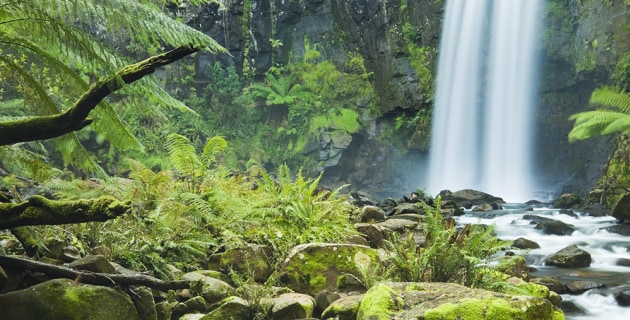 May Theme: The Elegance of Nature - Australian Photography