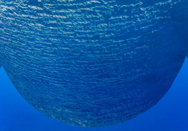 National Gallery Reflection - Australian Photography