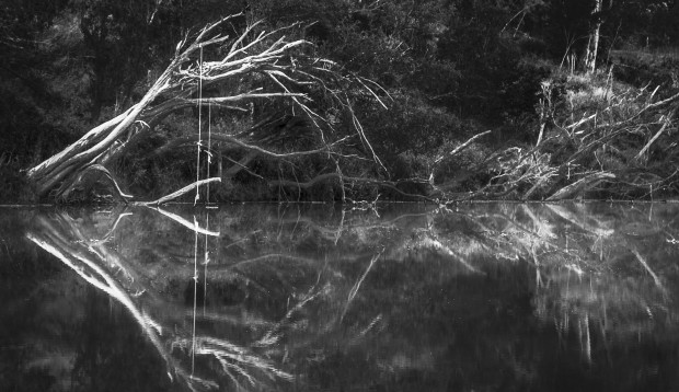 Hot Tuna - Australian Photography