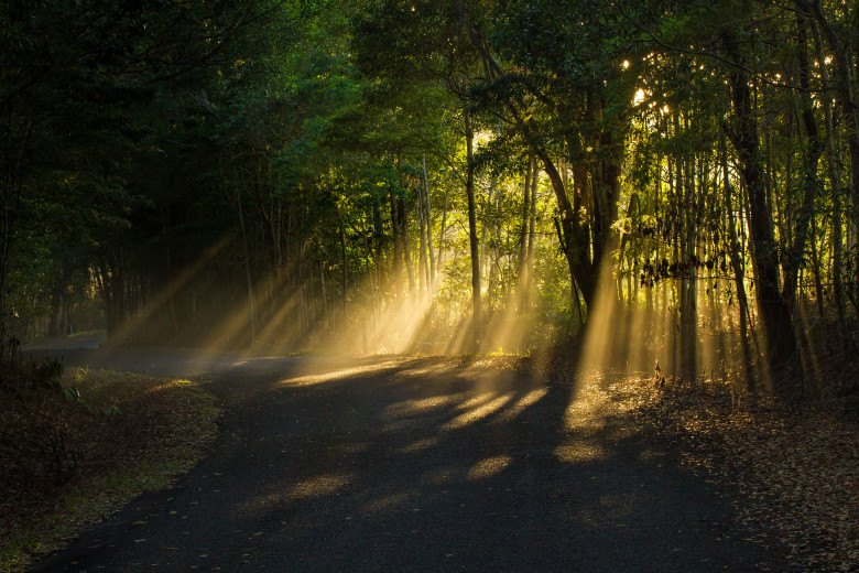 Far North QLD - Australian Photography