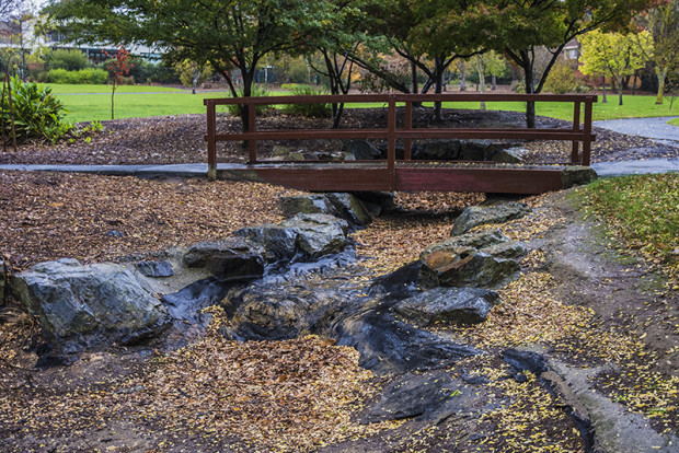 Park Bridge - Australian Photography
