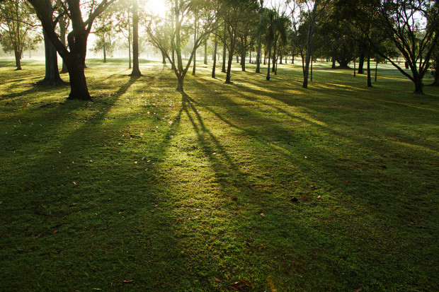 Sunlight and Shadows - Australian Photography