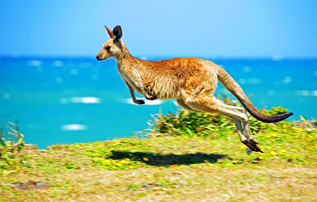 True Blue Magazine Cover - Australian Photography