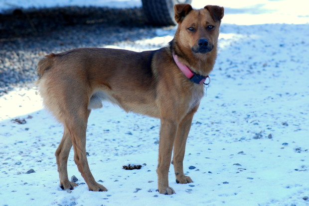 Best Poser - Australian Photography