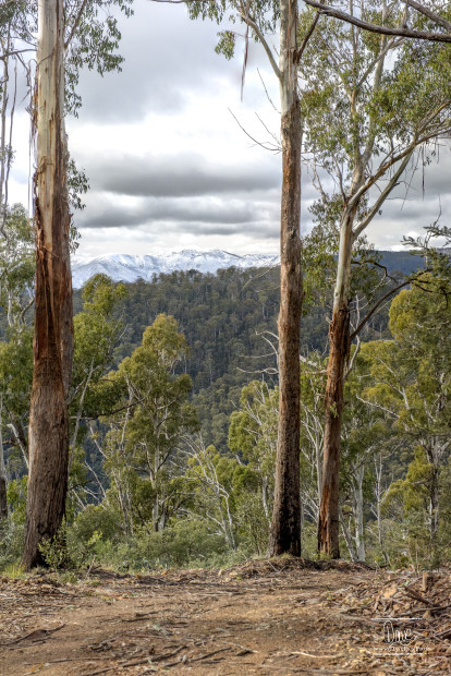 Victorian High Country - Australian Photography