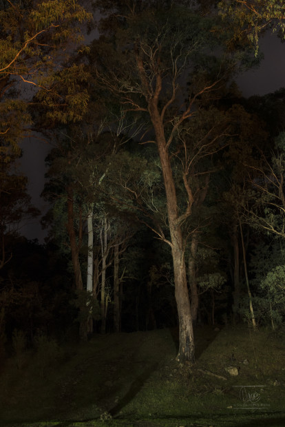 Victorian High Country - Australian Photography