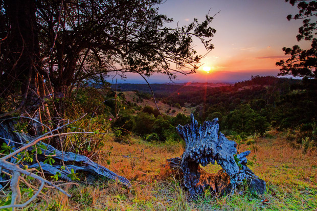 Australian Wilderness Sunset - Australian Photography