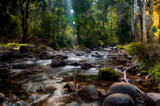 Bold & Beautiful - Capture magazine