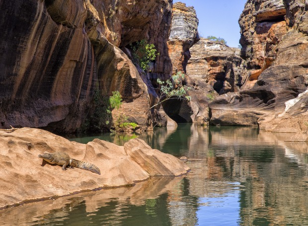 Cobbold Gorge - Australian Photography