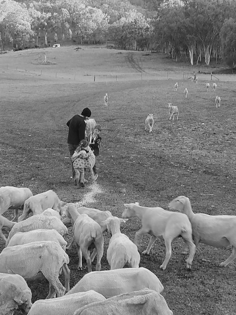 Australian Rural Life - Australian Photography