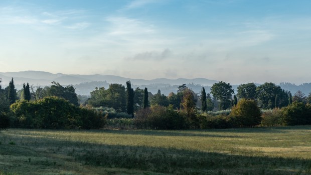 Tuscan Morning - Australian Photography