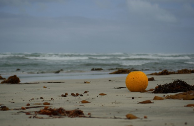 Float - Australian Photography