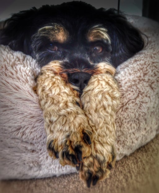 Jet Stretch - Australian Photography