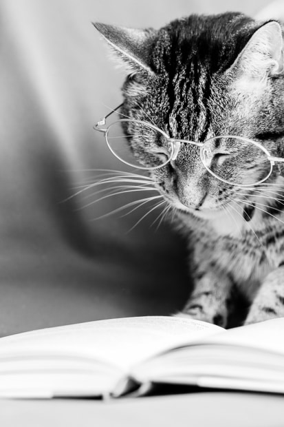 Diligent - Australian Photography