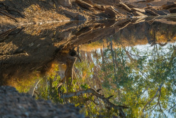 Outback Reflection - Australian Photography