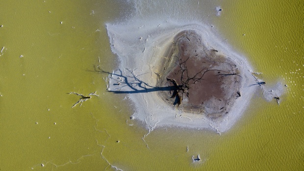 Salination: A Scourge - Australian Photography