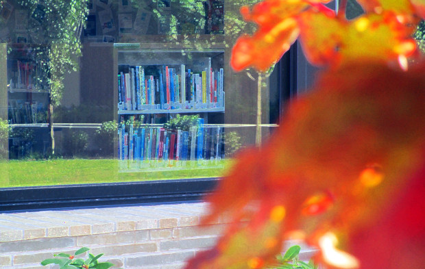 A corner of Wesley library - Australian Photography