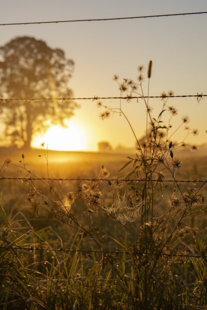 Sun-kissed morning - Australian Photography