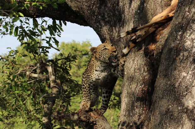 A Lesson Of Patience - Australian Photography