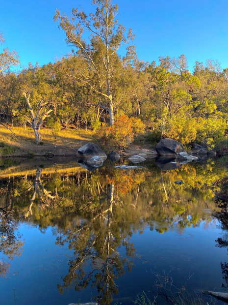 River Reflections - Australian Photography