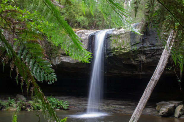 Chasing Waterfalls in the Otways - Great Walks