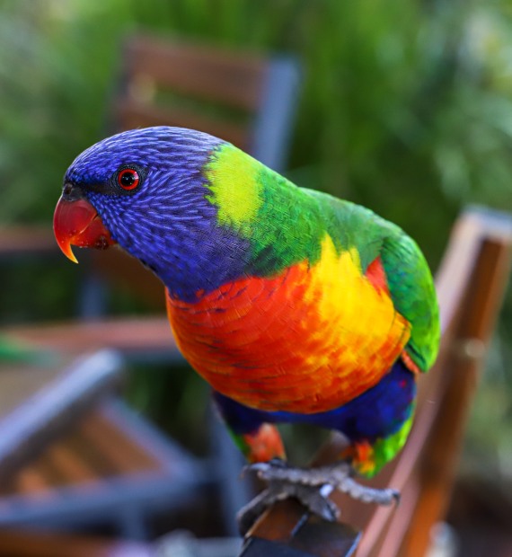 Colours of Australia - Australian Photography