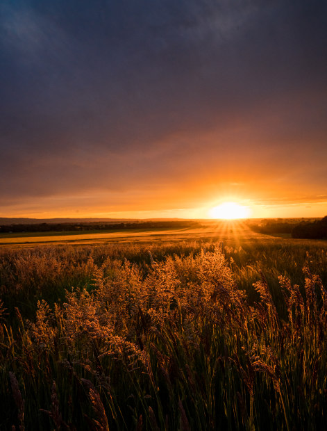 Dog Rocks Sunset - Capture magazine
