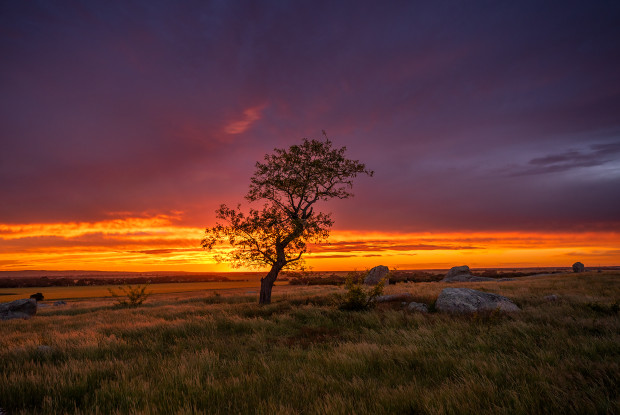 Dog Rocks Sunset - Capture magazine