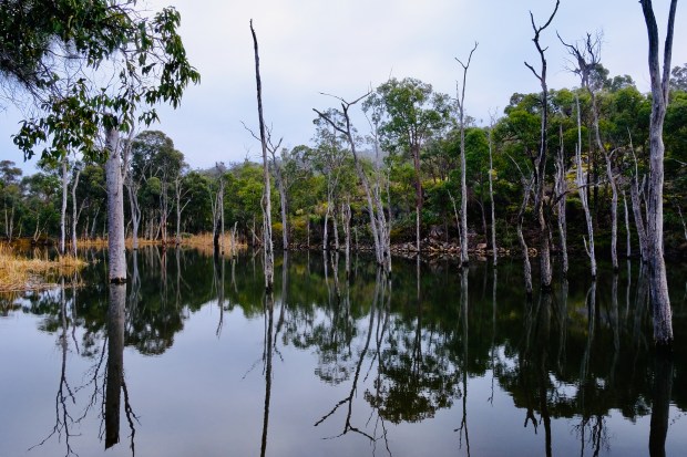 Paruna - Capture magazine