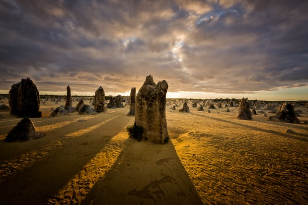 Pinnacles Sunrise - Australian Photography