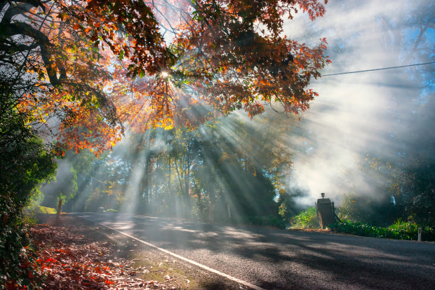 Sunburst - Great Walks