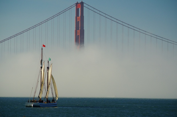 Carl The Fog - Australian Photography