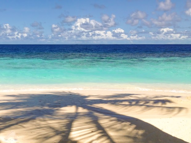 Summer Shadow - Australian Photography