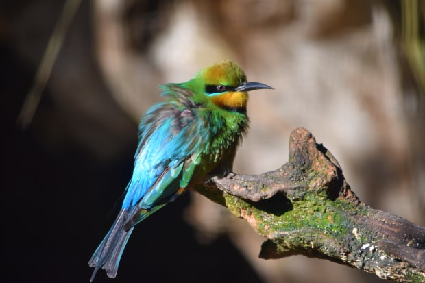 Rainbow Road - Australian Photography