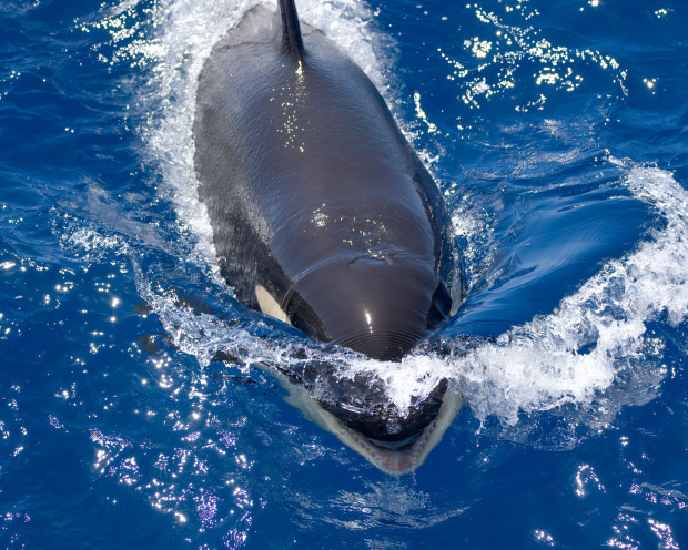 Wandering Imagez - Australian Photography