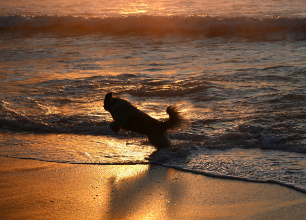 Lucie's Pure Joy - Australian Photography