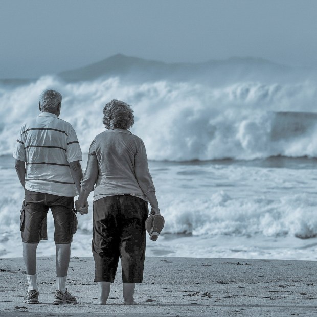 Weathering the storms of life together. - Australian Photography