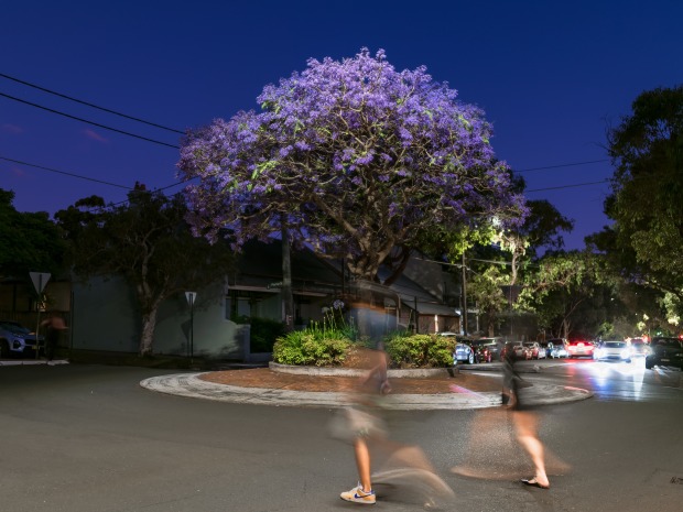 Jacaranda Island - The Landscape Awards