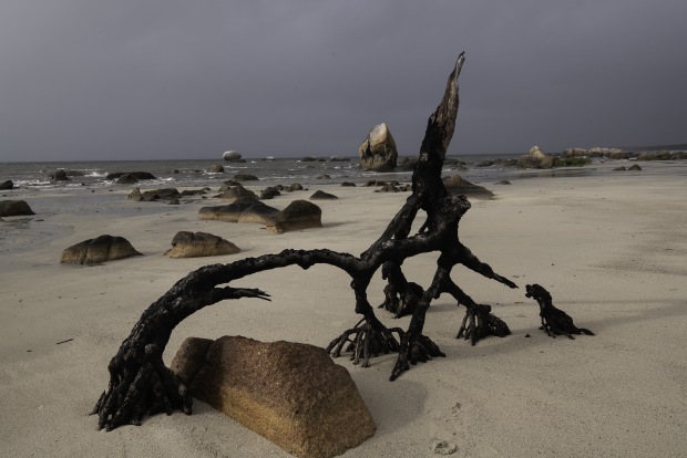 Chilli Beach - The Landscape Awards