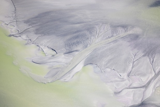 Neuron - The Landscape Awards