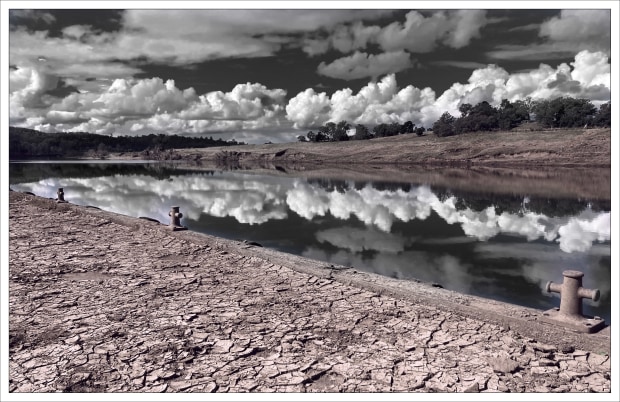 After the Floods in Wingham - The Landscape Awards