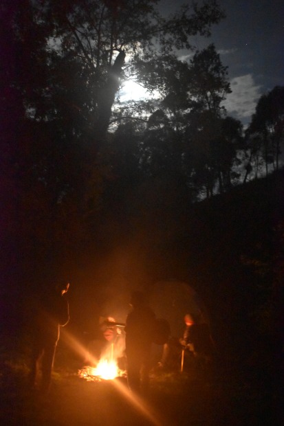 Campfire - The Landscape Awards