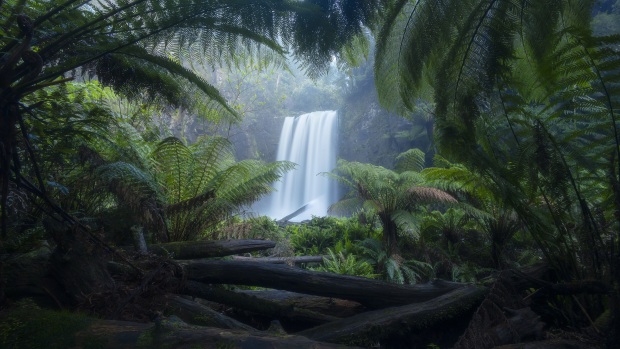 Window of Hope - The Landscape Awards