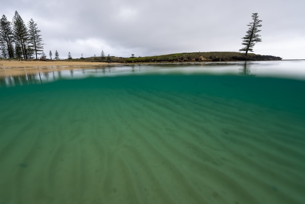 Emily Bay - The Landscape Awards