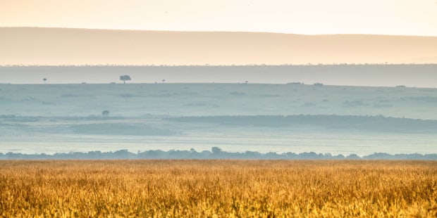 Layers of the Mara - The Landscape Awards