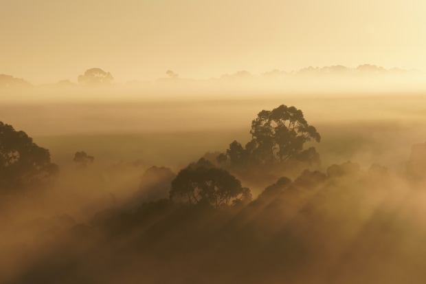 Cooriemungle Beauty - The Landscape Awards