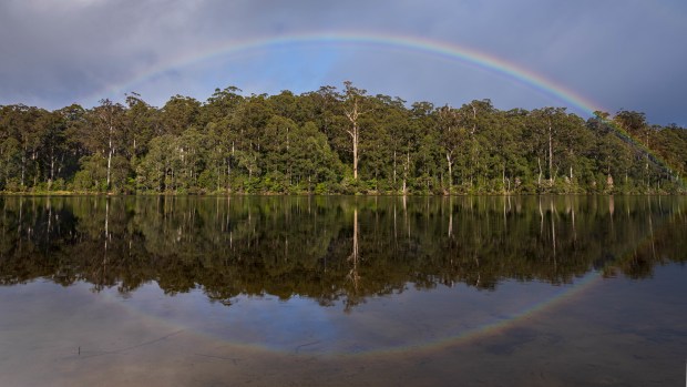 Natures Miracle - The Landscape Awards